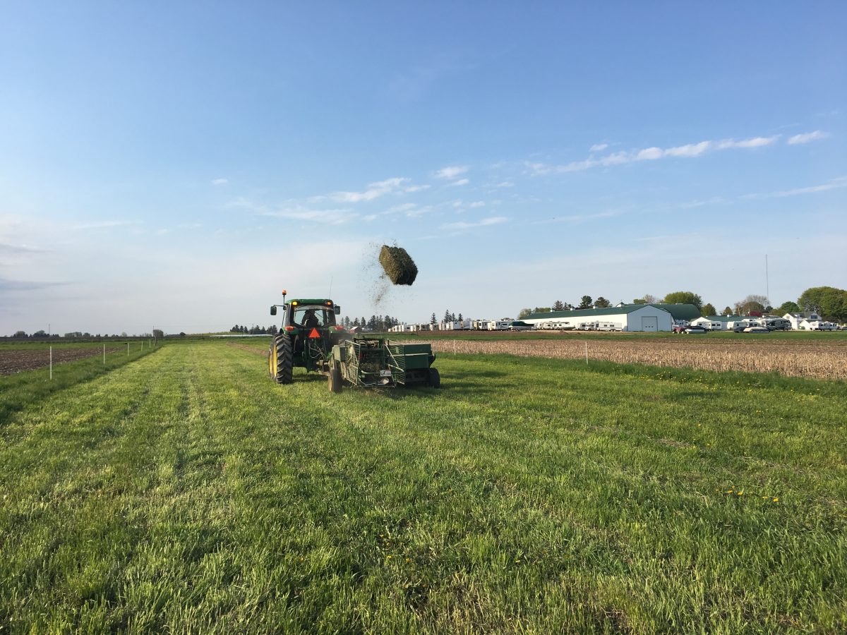 Rotational Grazing – Wisconsin Integrated Cropping Systems Trial