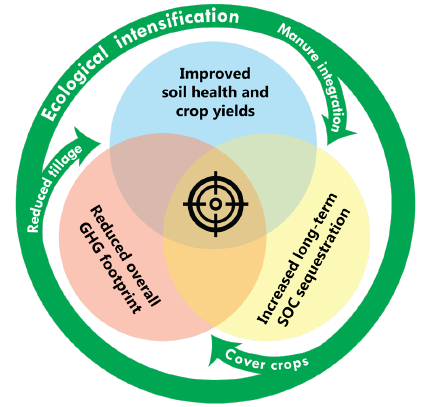 Ecological Intensification at WICST – Wisconsin Integrated Cropping ...